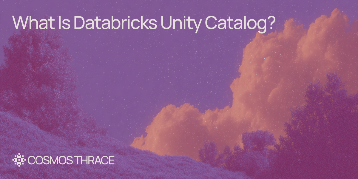 What Is Databricks Unity Catalog? A Business Leader’s Guide